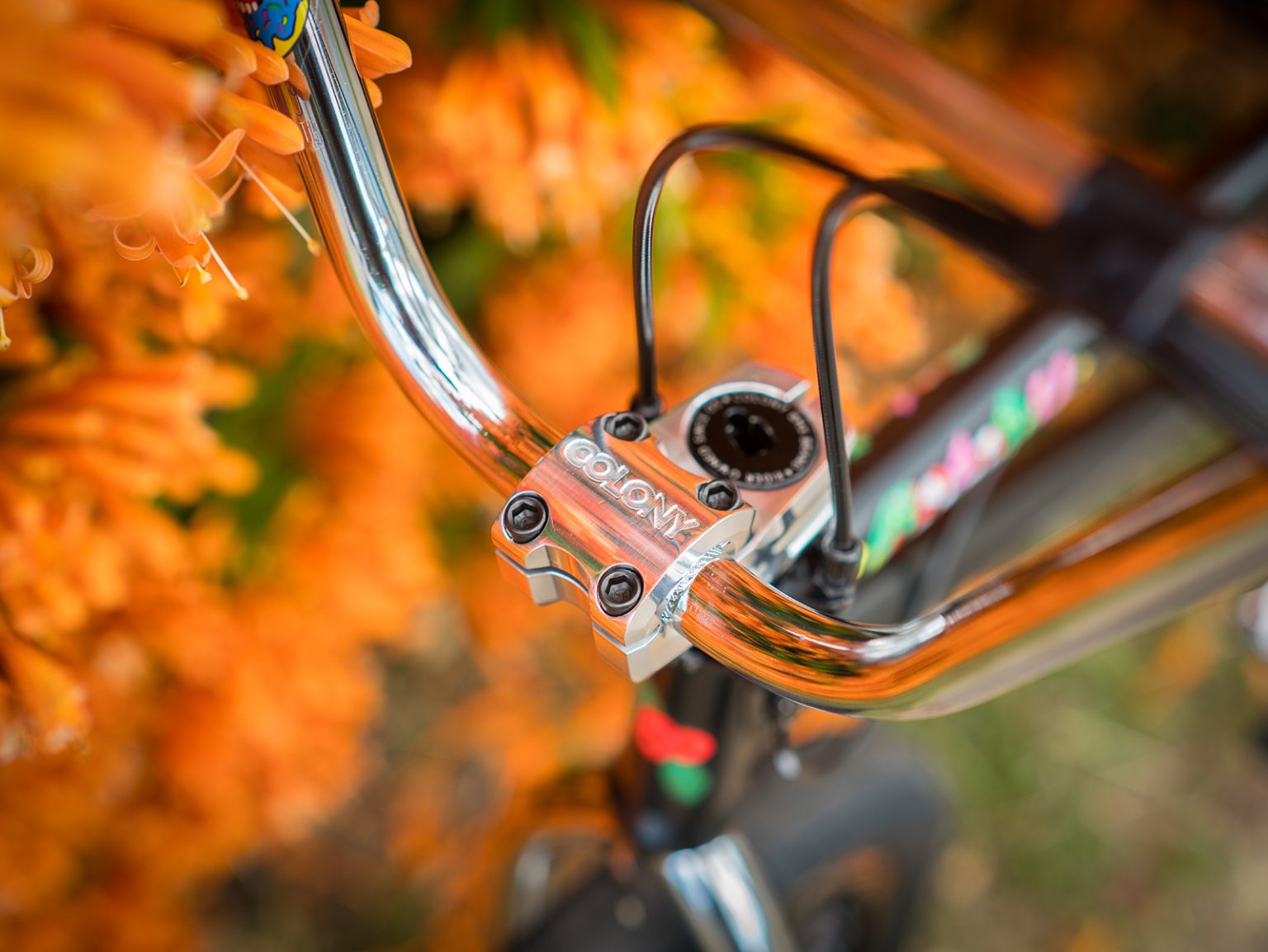 Colony BMX - Colony BMX - Australia's Biggest BMX Brand